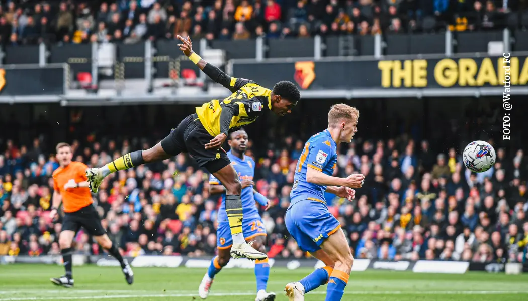 Watford quiere repetir la fórmula: van por una promesa del Fútbol ...