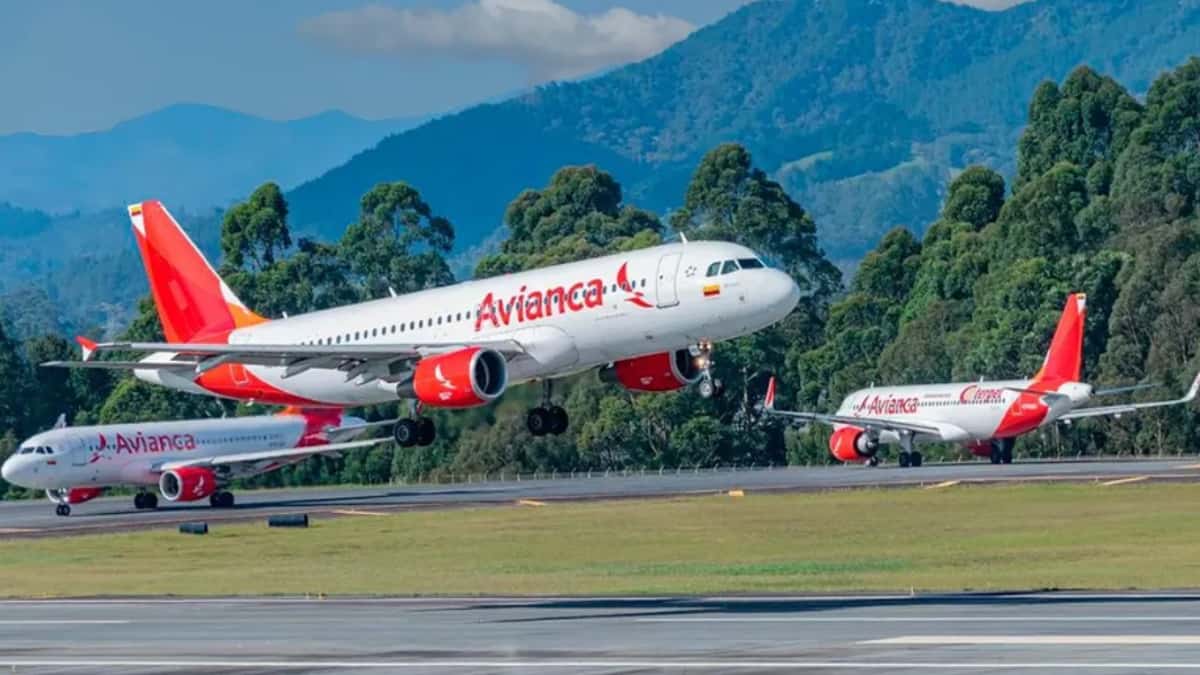 Avianca habilitaría nuevas rutas para volar a estos dos territorios del ...