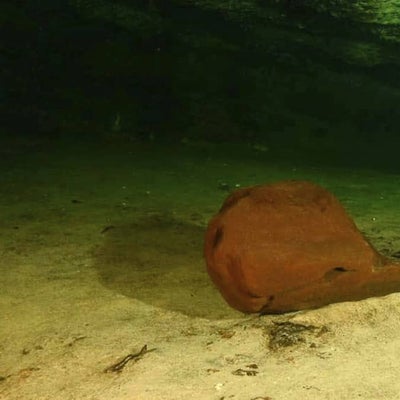 Hallazgo histórico: una canoa prehispánica fue encontrada en México ...