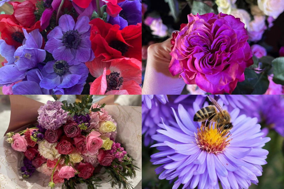 Flores moradas, la perfecta conmemoración del día de la mujer ...