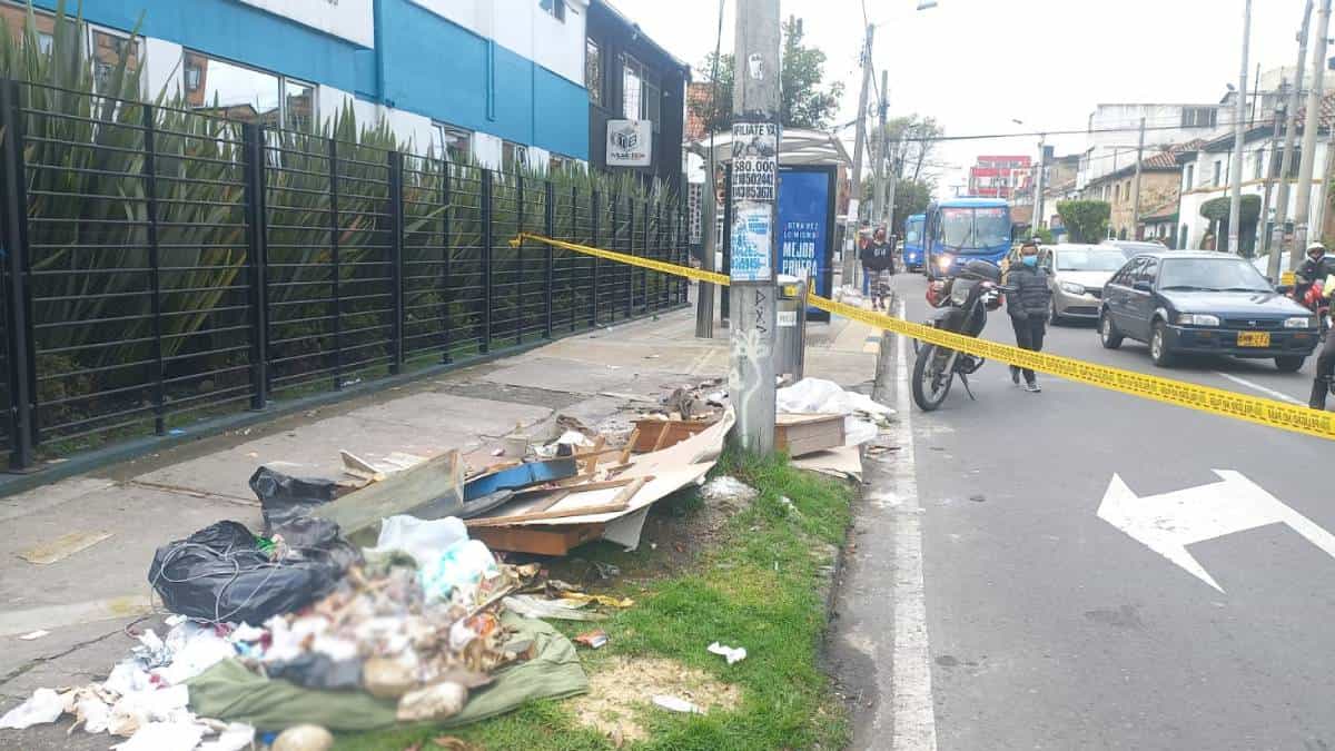 Identifican el verdadero origen de los restos óseos encontrados en ...