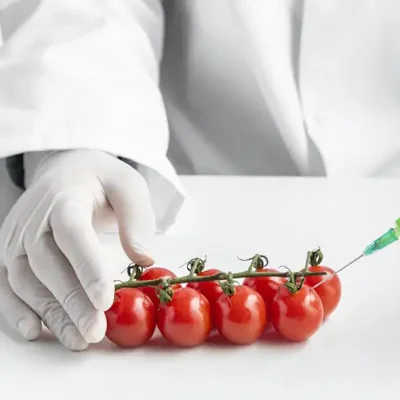 Los alimentos transgénicos: ¿beneficio o riesgo para la salud y el ...