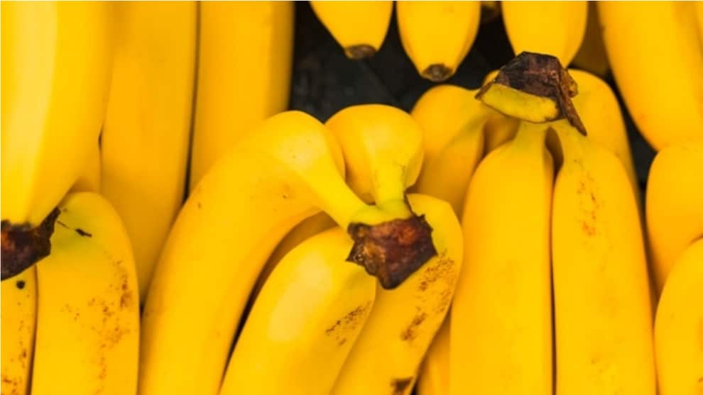 El banano colombiano conquista el norte de África | Noticias RCN