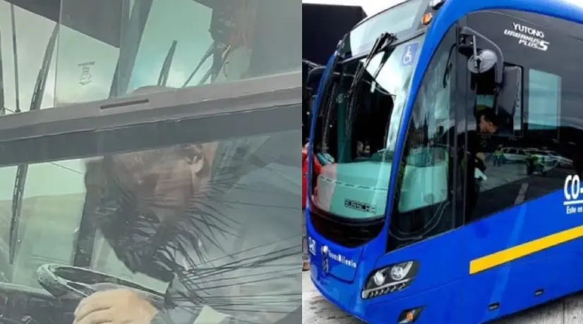 Video: conductor del SITP se volvió viral por pegarse 'refrescadita' en ...