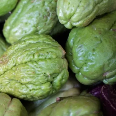 ¿Cómo comer guatila para bajar de peso? Esto debe saber | Noticias RCN