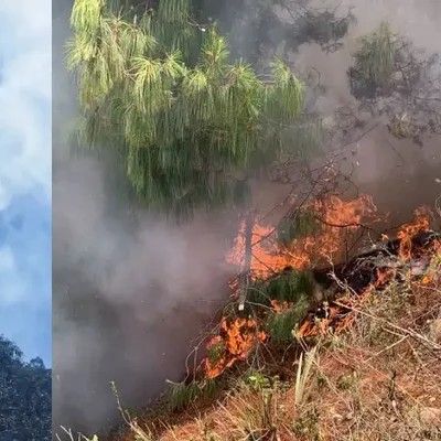 Vídeos: así se ve el incendio en los cerros orientales, desde distintas ...