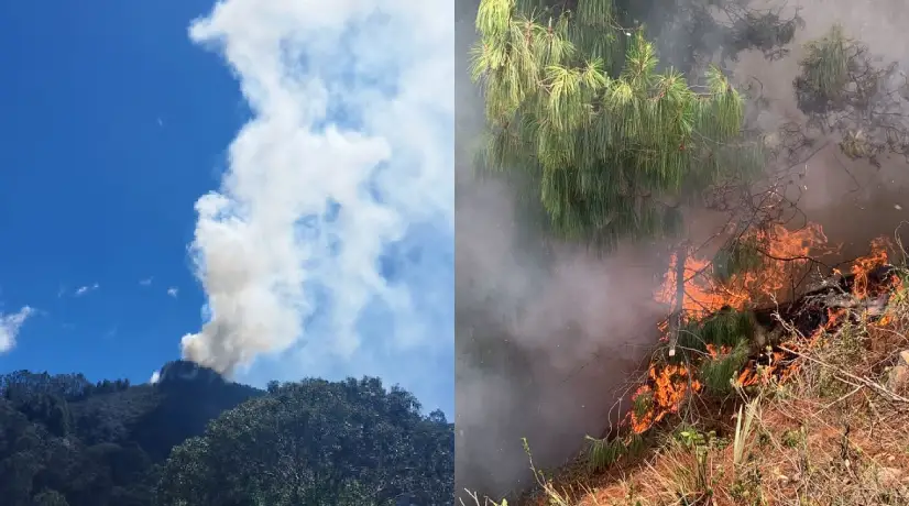 Vídeos: así se ve el incendio en los cerros orientales, desde distintas ...