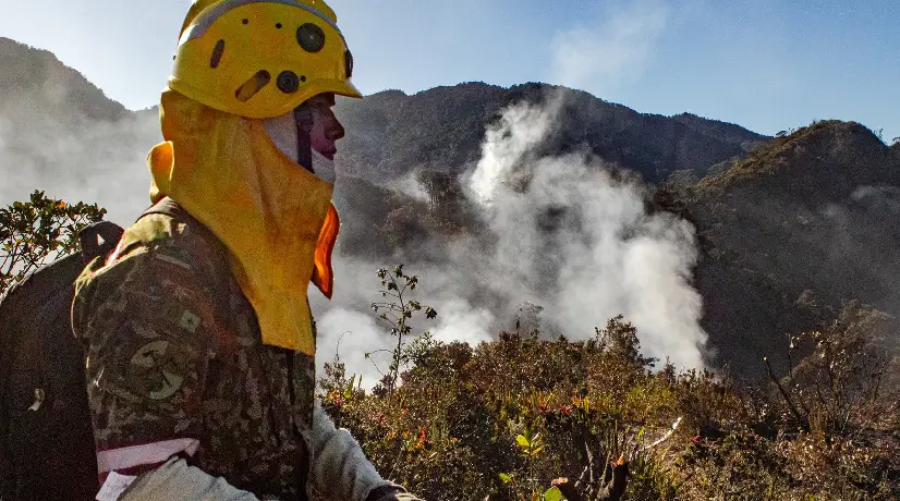 No hacer fogatas, quemas, ni fumar: las recomendaciones de los bomberos ...