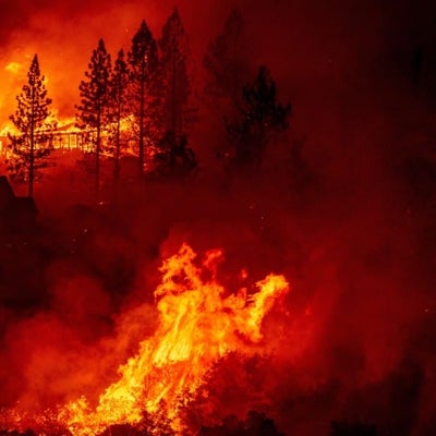 Incendios en Estados Unidos han consumido más de 800.000 hectáreas ...