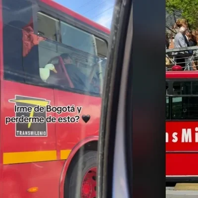 Pato fue captado en un Transmilenio volviéndose viral en las redes ...