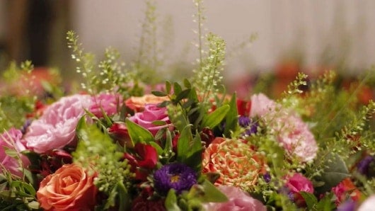 Música y flores colombianas, la mezcla perfecta para un producto ideal ...