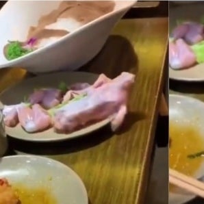 El pollo “muerto viviente” que se levantó de un plato y escapó de una ...