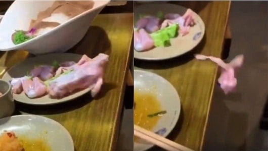 El pollo “muerto viviente” que se levantó de un plato y escapó de una ...