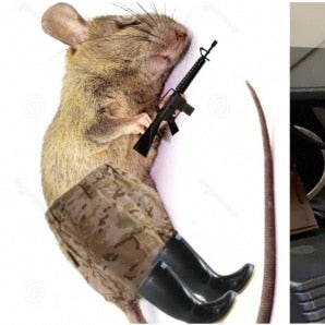 Los mejores memes que dejó el episodio de los ratones lanzados en el ...