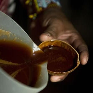 El yagé, de medicina tradicional a moda urbana | Noticias RCN