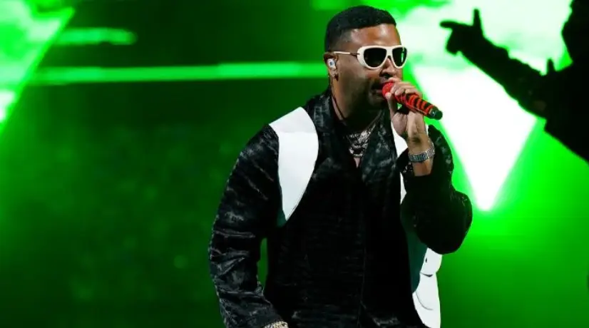 Video: El extraño comportamiento de Zion durante concierto de Medellín ...