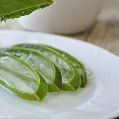 Consumo del Aloe Vera: Con este truco podrá reducir el colesterol ...