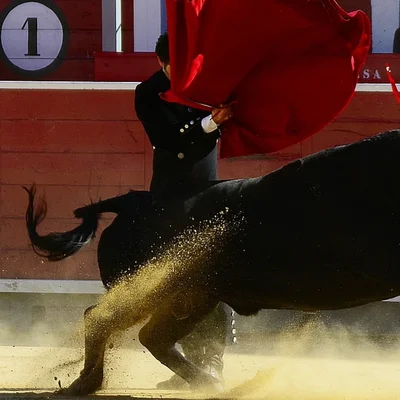 Corridas de toros en Colombia fueron prohibidas por el Congreso en ...