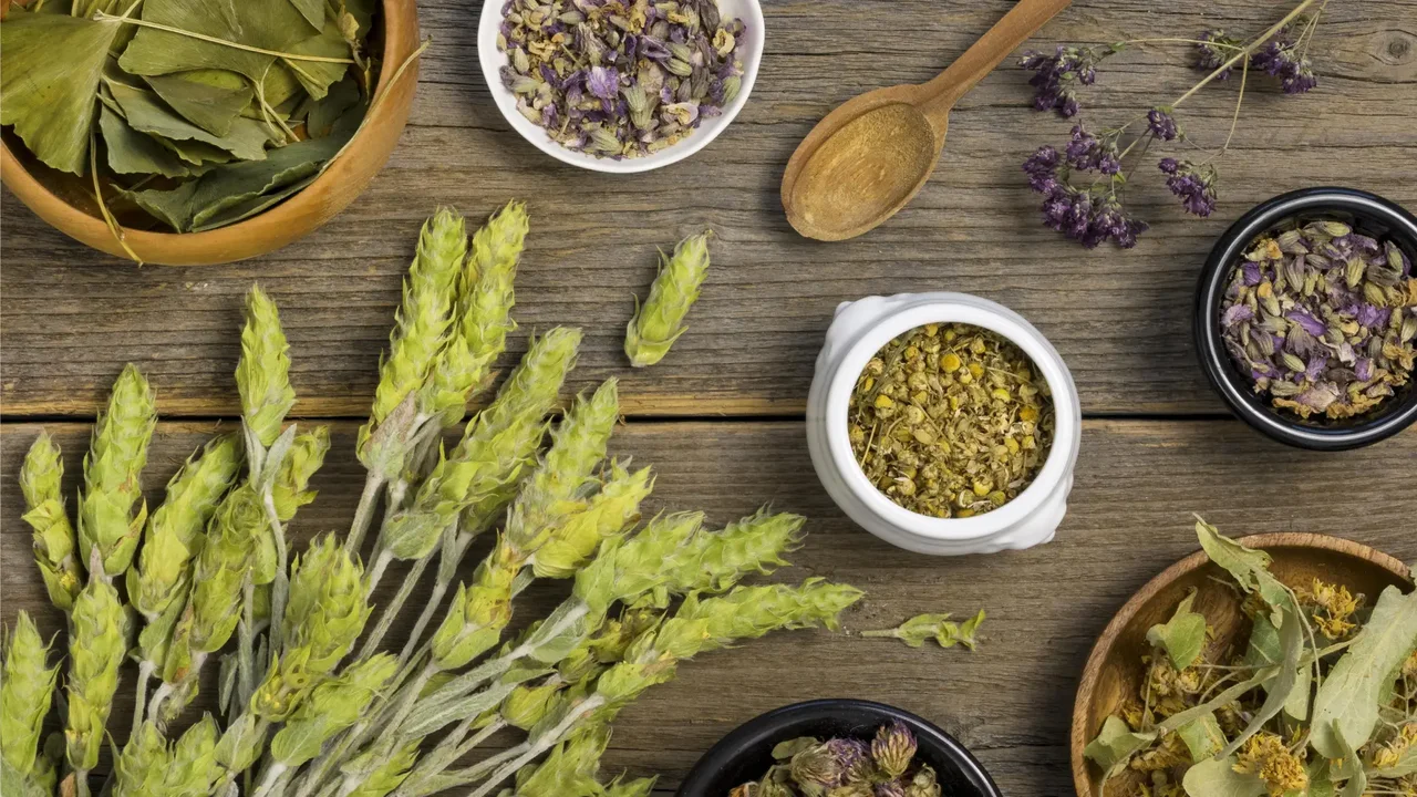Las 5 mejores hierbas medicinales en Colombia con poder curativo ...