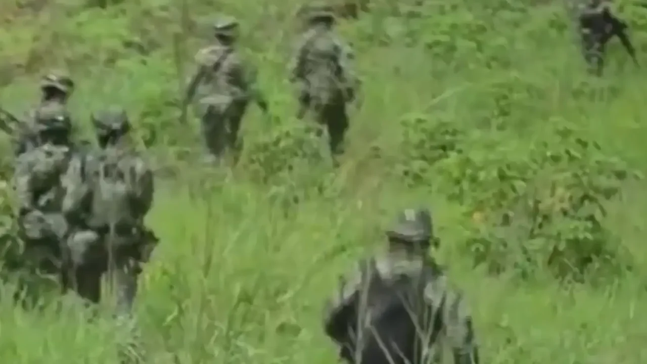 Golpe al Clan del Golfo: Ministerio de Defensa confirma 217 capturas ...