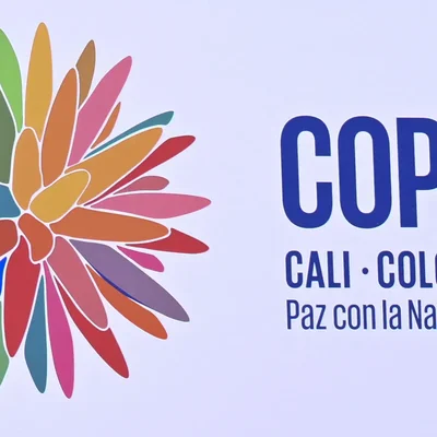 Los secretos detrás del logo de la COP16 | Noticias RCN