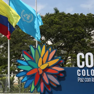 ¿Cuáles son los puntos clave de la COP16? | Noticias RCN