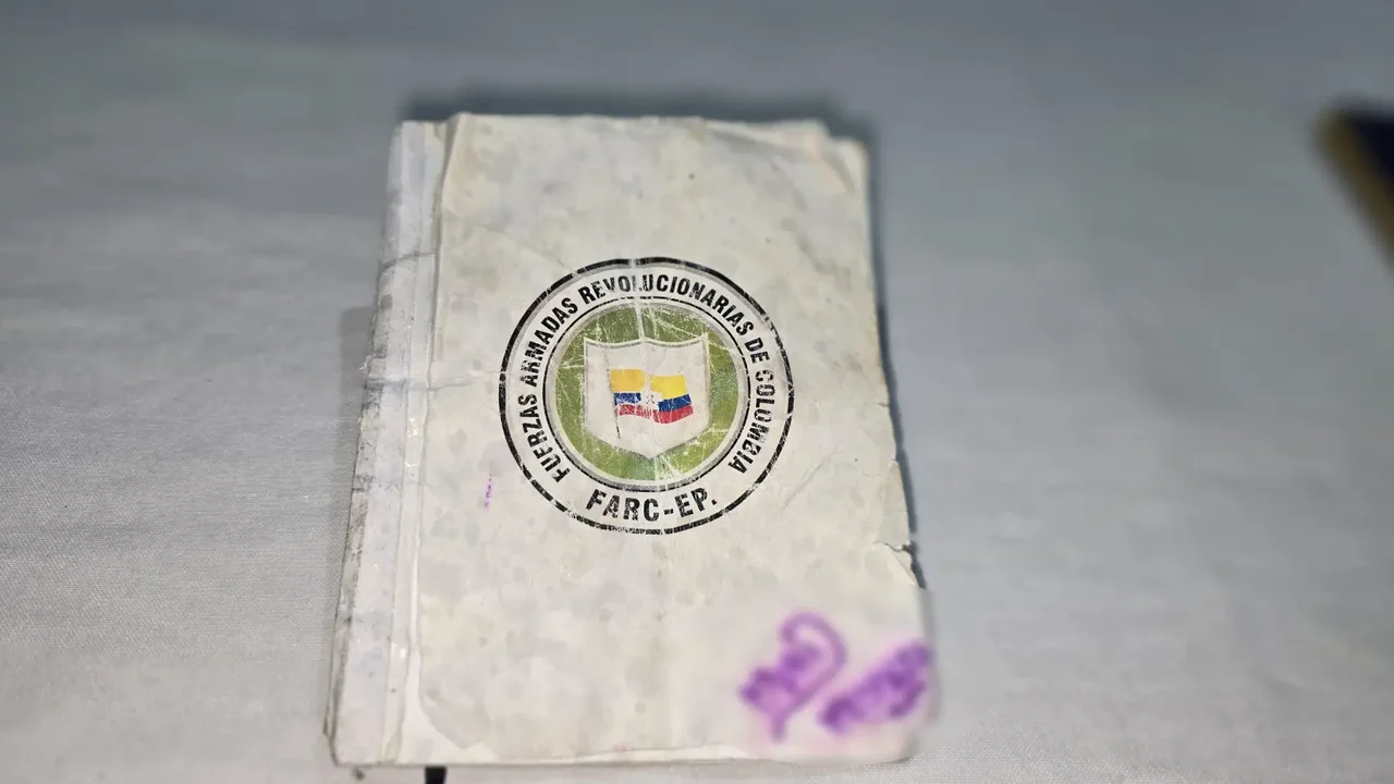 Rescatan a cinco menores reclutados por disidencias: estos eran los ...