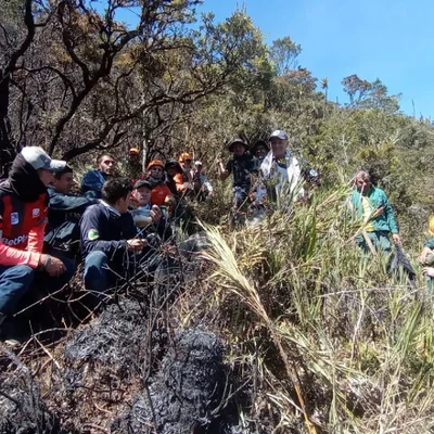 ¿Cuántas hectáreas se perdieron por el incendio en el Parque Natural ...