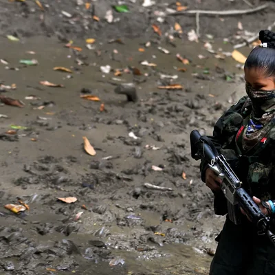 ¿Cuántas unidades del ELN operan en la región del Catatumbo y a qué ...