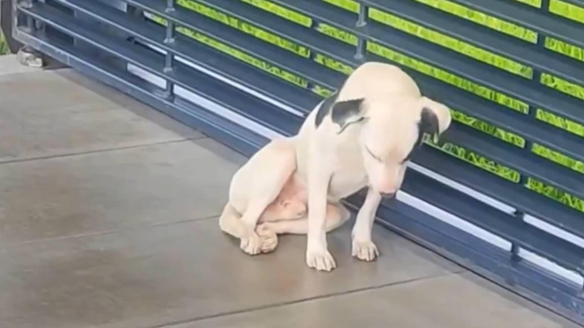 Así puede reservar y usar gratis las canchas sintéticas en Bogotá ...