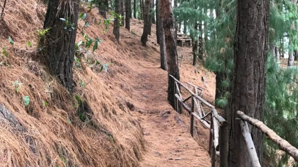 ¿Quiere visitar los senderos ecológicos de Bogotá? Así puede agendarse ...