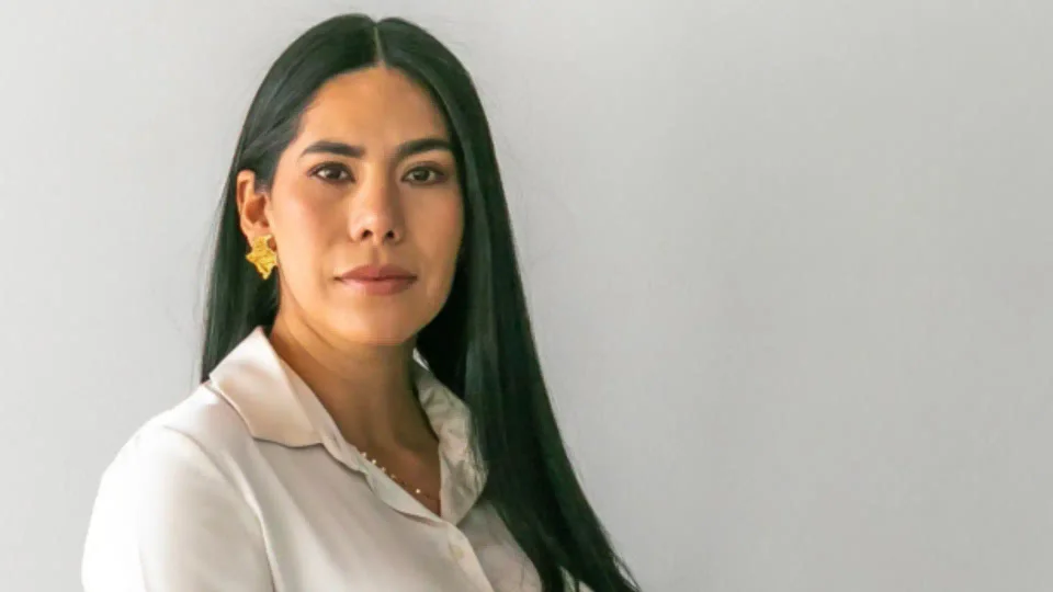 Carina Murcia será ministra encargada de las TIC tras renuncia de ...