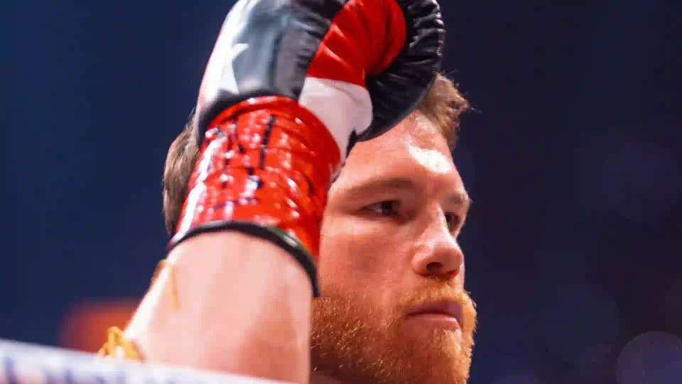 La publicación de Canelo Álvarez tras derrota con Crawford: ¿Cuándo ...