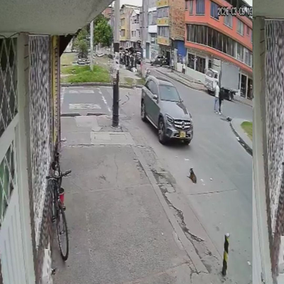 Automóvil pasó por encima de un perrito en la localidad de Kennedy: el ...