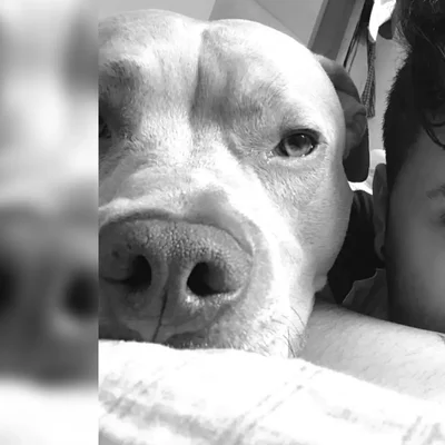 El influencer Camilo Triana está de luto tras confirmar la muerte de su ...